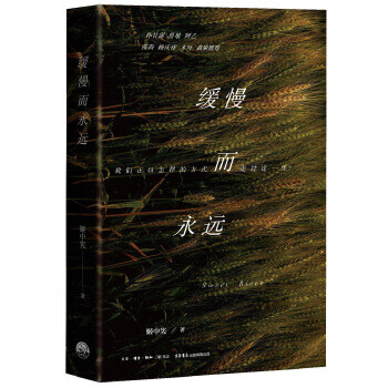 缓慢而永远 姬中宪【正版书】