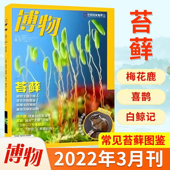 博物杂志2018年 2022年1/2/3/4月（在下方已选中可选择期数）自然人文百科畅销书科普系列丛书 中国国家地理出品 博物： 2022年3月第3期 苔藓