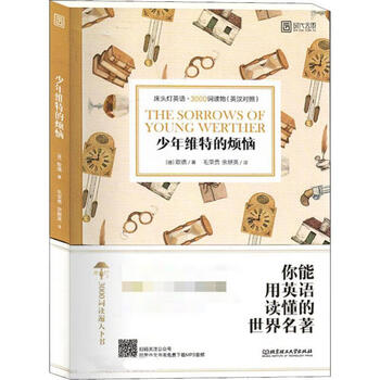 少年维特的烦恼