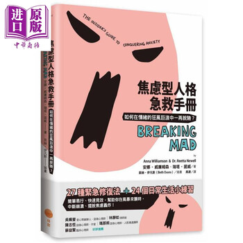 焦虑型人格急救手册 如何在情绪的狂风巨浪中一再脱险 安娜.威廉姆森 港台原版 日出出版