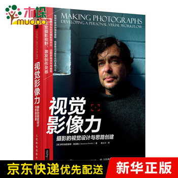 视觉影像力(摄影的视觉设计与思路创建)