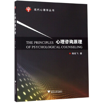 心理咨询原理/现代心理学丛书