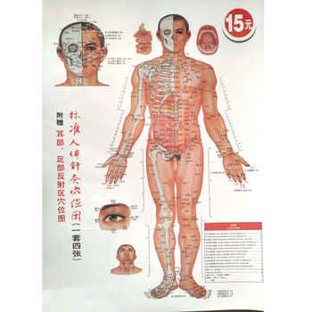 标准人体针灸穴位图(一套四张)-附赠耳部足部反射区穴位图 山西科学技术出版社
