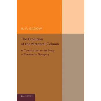 The Evolution of the Vertebral Column: A Contri