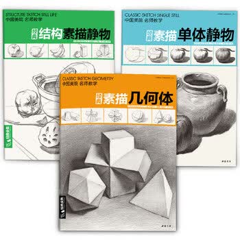 经典全集《3本素描》素描几何体结构静物单体静物零基础初学者解剖与透视训练入门组合绘画大关系透视美术基础