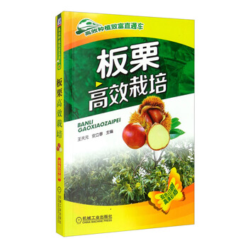 板栗高效栽培（双色印刷 高清彩插）