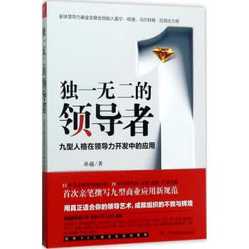 独一无二的领导者孙越 著 