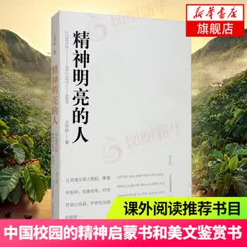 精神明亮的人 美文版 王开岭著 课外阅读书目 散文随笔自选集精神启蒙书和美文鉴赏书