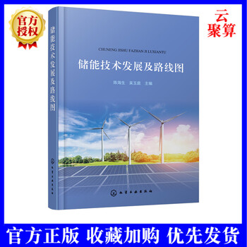 2020新书 储能技术发展及路线图 陈海生  吴玉庭 能源与动力工程储能产业发展 储能技术特性市场化