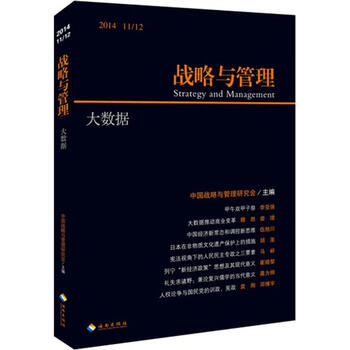 大数据 中国战略与管理研究会 主编  书籍