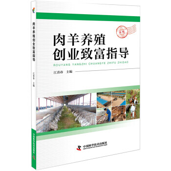 肉羊养殖创业致富指导