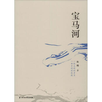 宝马河 陈曦   书籍