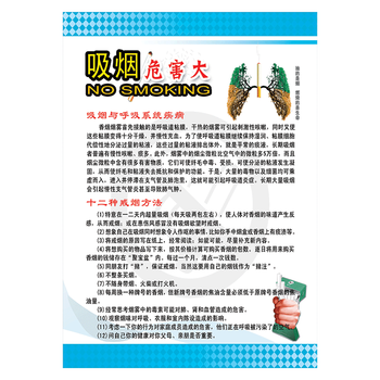禁烟公益广告文化宣传画挂图标语海报禁止吸烟您已进入无烟场所控烟招贴画覆膜防水贴纸TYH TYH06  吸烟危害大 100*70厘米 覆膜防水PP贴纸