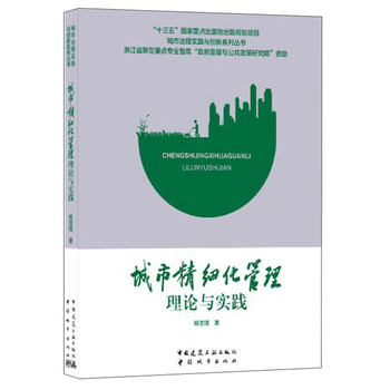 城市精细化管理理论与实践-城市治理实践与创新系列丛书