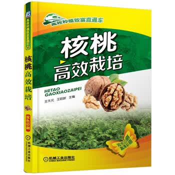 核桃高效栽培（双色印刷）/高效种植致富直通车