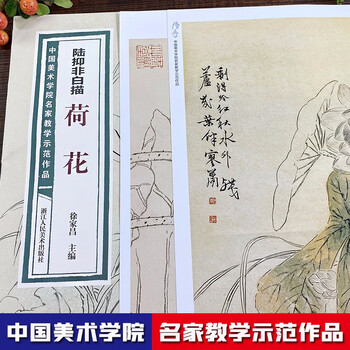 陆抑非白描荷花 中国美术学院名家教学示范作品大8开高清写生创作 中国画初学入门临摹教程画册页作品画集