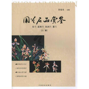 国兰名品赏鉴(上册)  许东生 主编 书籍