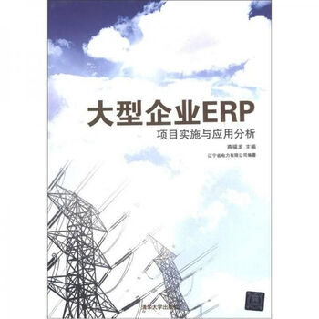 大型企业ERP项目实施与应用分析