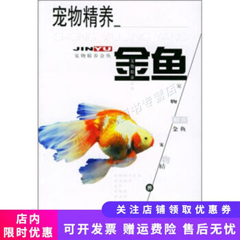 宠物精养金鱼