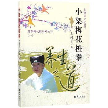 小架梅花桩拳 玉昆子  书籍