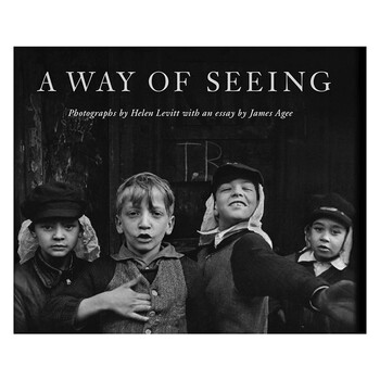 现货A Way of Seeing，看待的方式 英文原版图书籍进口正版
