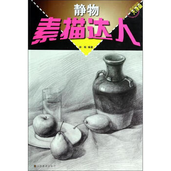 素描达人静物  作 林栋 编者 书籍