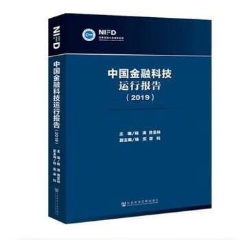 中国金融科技运行报告(2019)