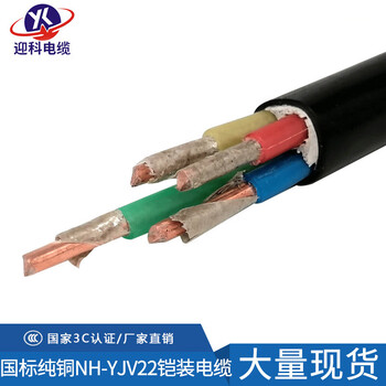 迎科电缆铜芯电缆NH-YJV22铠装10 16 25 35 50平方WDZN-YJY耐火电缆线 耐火NH-YJV 3*10/米【图片 价格 品牌 报价】-京东