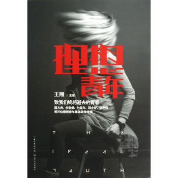 理想青年 王翔 编 作 书籍