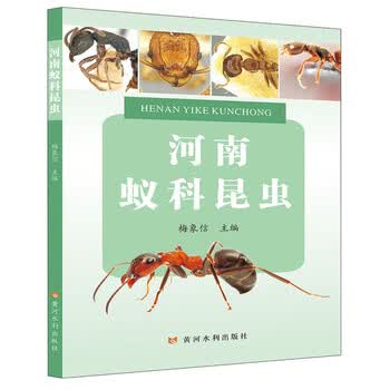 河南蚁科昆虫