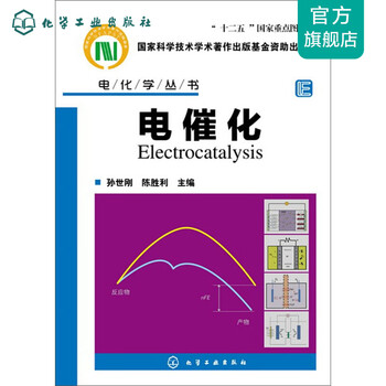 电化学丛书--电催化