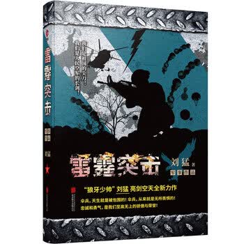 雷霆突击 刘猛  书籍