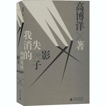 我消失的影子 高博洋  书籍