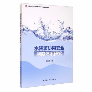 水资源协同安全制度体系研究