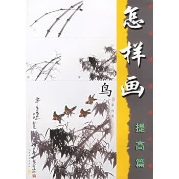美术爱好者之友:怎样画鸟 姜舟【正版图书】
