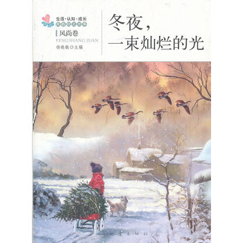 冬夜，一束灿烂的光 杨晓敏 地震出版社