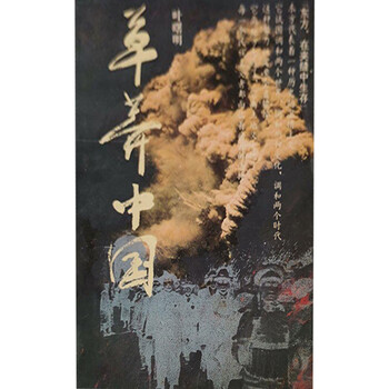草莽中国叶曙明【新华书店，售后无忧】