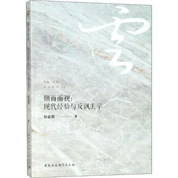 侧面而视:现代经验与反讽美学 孙金燕  书籍