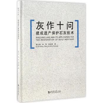 灰作十问