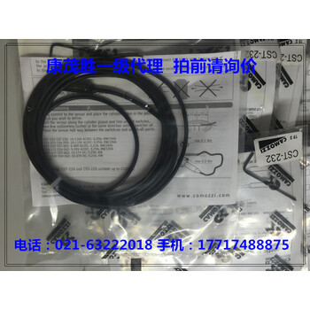 camozzi磁性开关CST-232 CSV-232 CST-332 CSV-232定制定制 CST-362【图片 价格 品牌 报价】-京东