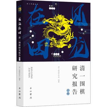 见龙在田 清一围棋研究报告之二