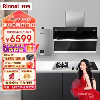 【林内CXW-283-NM09J】林内（Rinnai）油烟机燃气灶热水器套装 22立方 大吸力智能定时烟灶三件套 NM09J+2E07MT+13QC05 以旧换新【行情 报价 价格 评测】-京东