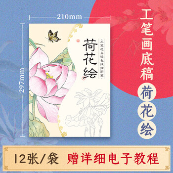 （单册）荷花绘 工笔荷花设色线描图笺 12张工笔画底稿白描涂色附电子教程飞乐鸟国画填色线稿纸 超韧熟
