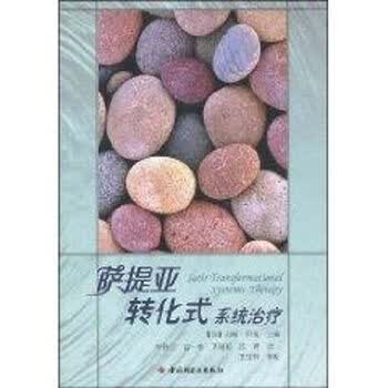 萨提亚转化式系统治疗（万千心理） （加）贝曼　主编，钟谷兰　等译  书籍