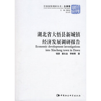 湖北省大悟县新城镇经济发展调研报告