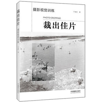 裁出佳片 丁允衍  书籍