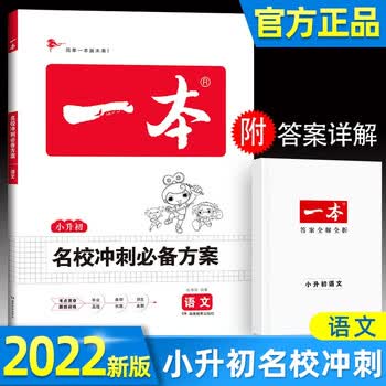 一本小升初语文名校冲刺必备方案2022版小学毕业总复习语文小考模拟测试训练真题 语文