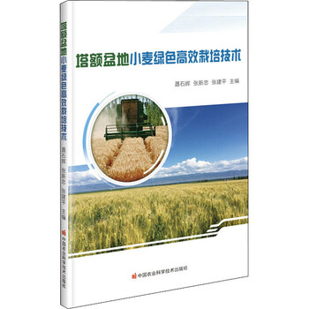 塔额盆地小麦绿色高效栽培技术