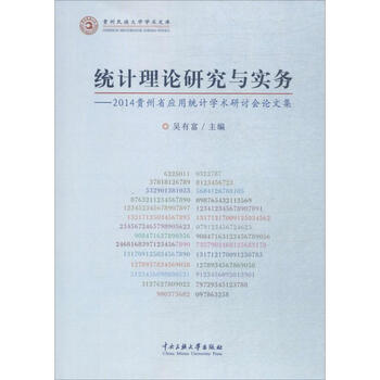 统计理论研究与实务 吴有富 主编 书籍