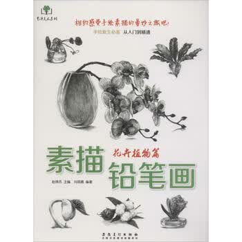 素描铅笔画花卉植物篇
